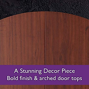 Fat Cat Electronx Electronic Dartboard Compact Size Over 35 Games with 167 Options Built-In Cabinet and Dart Storage for up to 12 Darts Auto Scoring LCD Display 8-Player Multiplayer and Soft Tip Darts