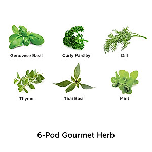 AeroGarden Gourmet Herb Seed Pod Kit - Herb Seeds for AeroGarden Indoor Garden, 6-Pod