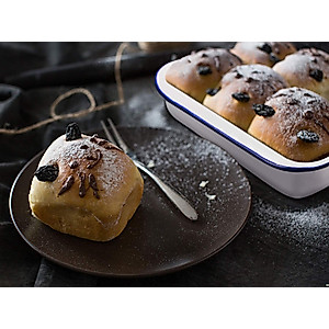 Webake Enamelware 9x13 Baking Pan Oblong Cake Pan Enameled Steel Roasting Pan Baking Dish Lasagna Pan Food Containers, Solid White with Blue Rim