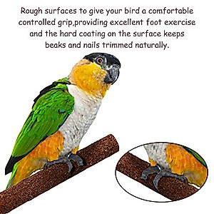 6 Pcs Bird Perch Stand Toy, Wood Parrot Stand Platform Colorful Sand Paw Grinding Stick Cage Accessories Exercise Toys for Cockatiel Conure Budgies Parakeet Lovebird Hamster Gerbil Rat Mouse (6 Pcs)