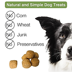 4Legz Organic Pumpkin Vegan Dog Treats from Low Fat & Crunchy Natural Snack Biscuits for Dogs Small, Medium & Large - Made in USA Products Only (7 Ounce, Pack of 1)