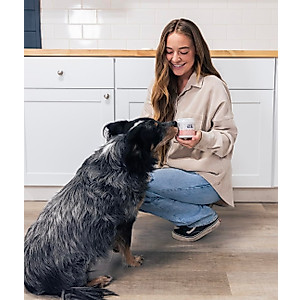 Good Trouble Pets Complete Care Dog Multivitamin, Ashwagandha, Biotin, Yucca, Glucosamine Chondroitin, Probiotics, Omega Fish Oil - Dog Supplements & Vitamins for Joint, Heart, and Immune Health