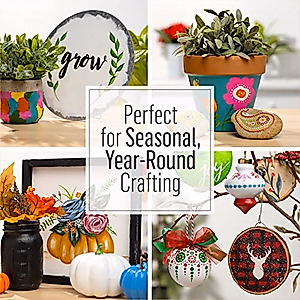 FolkArt Acrylic Paint in Assorted Colors (2 fl oz), 479, Pure Black