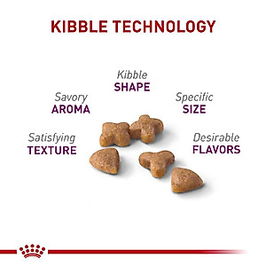 Royal Canin Feline Health Nutrition Sensitive Digestion Cat Food Dry Formula, Balanced Nutrition to Support Digestive Health, 7 lb Bag