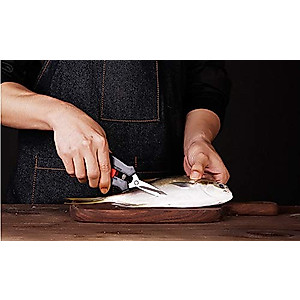 Criativo live Seafood Scissors, Lobster Scissors, Crab Scissors, Seafood Tools 4Pcs and Lobster Forks 4 Pcs