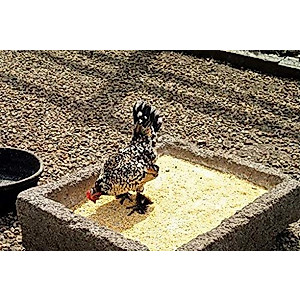 Executive Deals Cracked Corn Feed for Birds, Squirrels, Deers, Wildlife - 10LB (Double-Sealed)