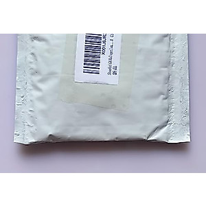 ShuoHui G4 Halogen Bulbs 10 W 24 V Dimmable Bi-Pin Base Clear Capsule Warm White Light Bulb Pack of 10