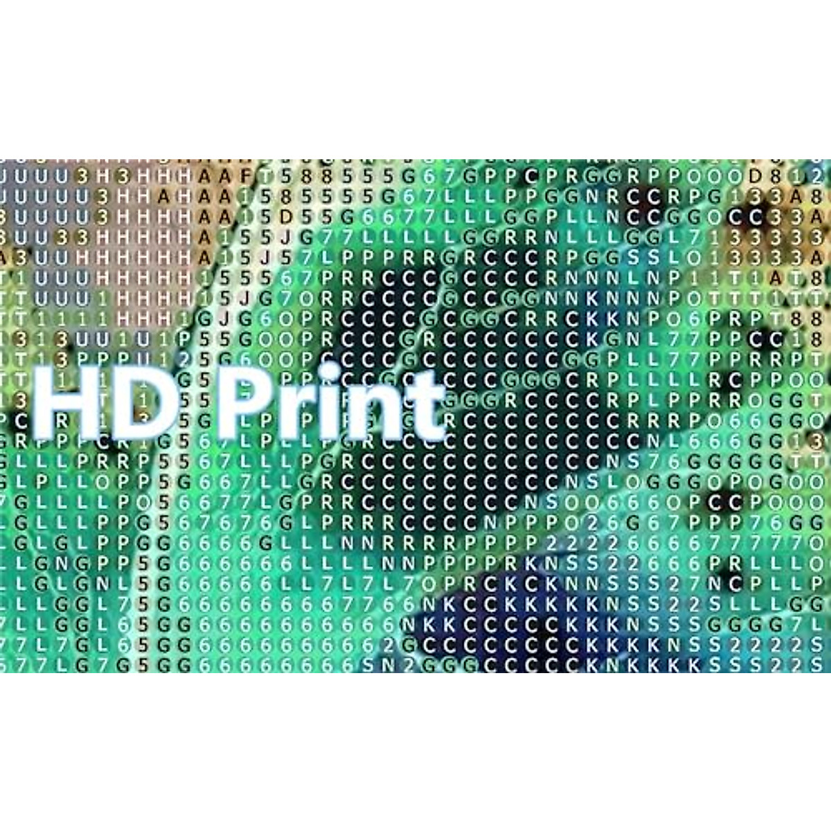 Peacock flower Diamond Painting Diamond Art DIY Paint by Numbers 5D Diamond Painting Kits for Adults, Large Diamond Dots Crystal Gem Art Rhinestone Crafts for Home/Room/Wall Decor (40 X 20 Inch),C276