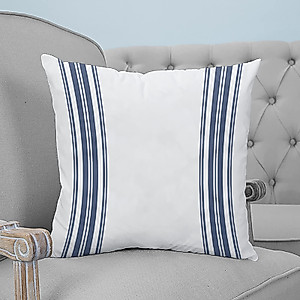 Roses Garden Decorative Throw Pillow Cover Blue and White Stripe Pillow Case Square Cushion Cover Super Soft Brushed Fabric Pillowcase for Home Couch Sofa Bed, 16" x 16"