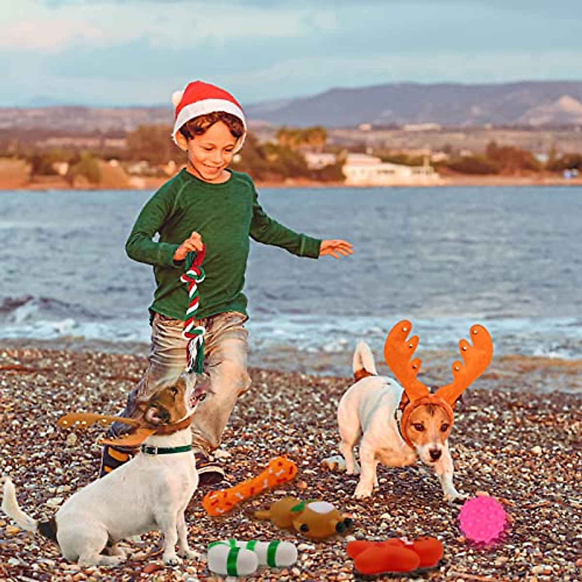 ZALALOVA Christmas Dog Stocking Gifts Toys Set, 6 PCS Xmas Dogs Toys with Squeaky Toys Chew Toys Assorted Crutch Gingerbread Man Bone Shape Christmas Candy Cane Shape Chewer Interactive Ball Gifts