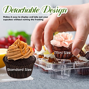 NPLUX 24 Count Mini Cupcake Containers 15 Pack Cupcake Holder with Detachable Tall Dome Lids Mini Plastic Stackable Cupcake Boxes for 360 Cupcakes, BPA Free
