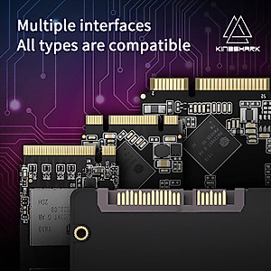 Kingshark M.2 2242 SSD 64GB Ngff Internal Solid State Drive High-Performance Hard Drive for Desktop Laptop SATA III 6Gb/s Includes SSD (64GB, M.2 224