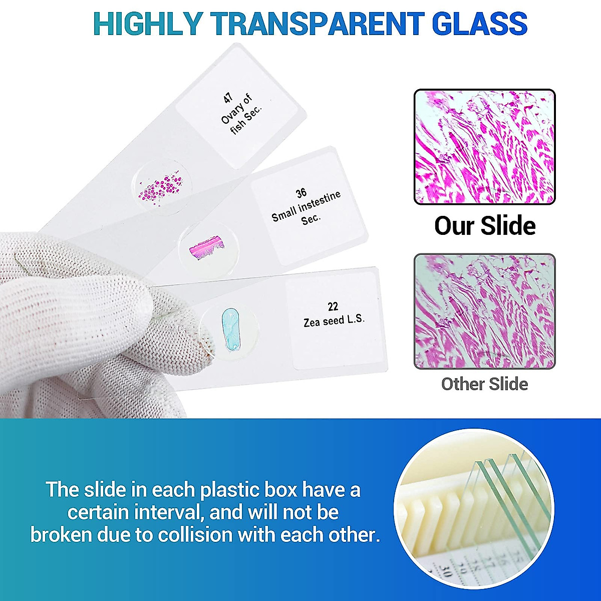 50 Prepared Microscope Slides with Specimens for Kids Students - Plants Insects Fish Animals Human Tissue Cells Samples, for Biological Science Lab, Children Education, Homeschool