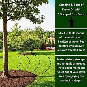 Nature’s MACE Mole & Vole Repellent 1 Gallon Castor Oil Concentrate/Covers up to 20,000 Sq. Ft. / Keep Moles and Voles Out of Your Lawn and Garden/Safe to use Around Home & Plants Guaranteed