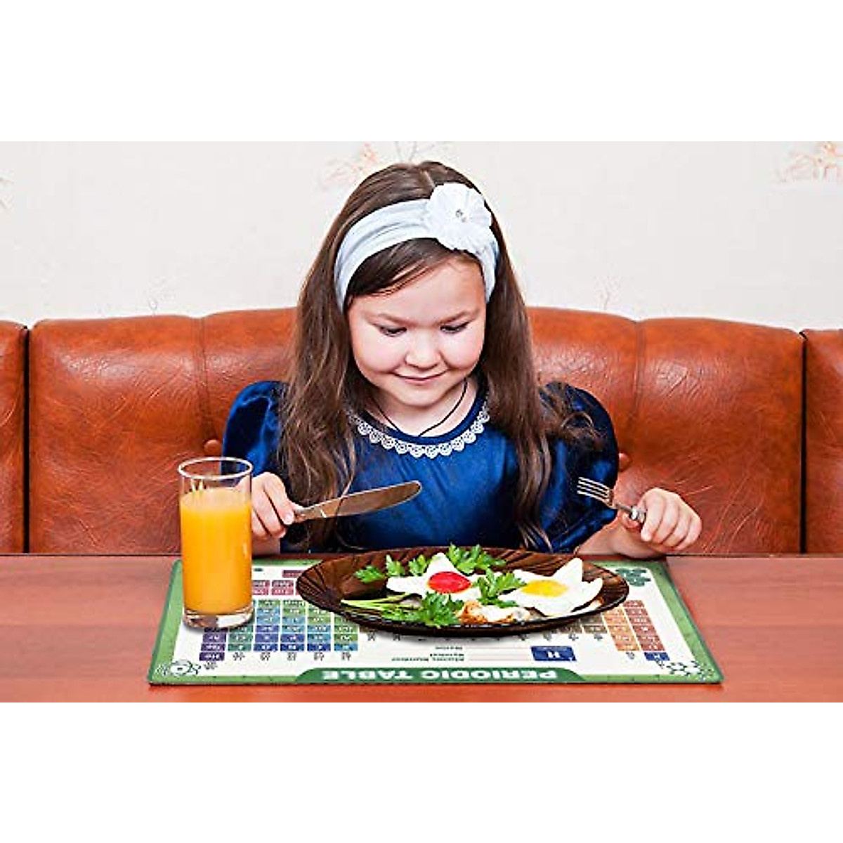Fat Zebra Designs Educational Placemats - Set of 10 Learning Placemats - Easy Clean, Durable & Reusable Kids Table Mats - 12x17 Inches