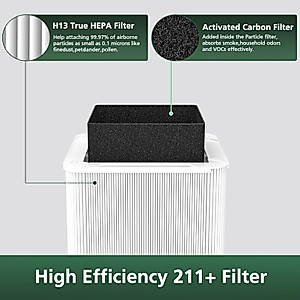 2-Pack Blue Pure 211+ Replacement Filter Compatible with Blueair Blue Pure 211+ Air Cleaner Purifier, Foldable Particle & Activated Carbon Filter fits for Blue Pure 211+ Air Purifier