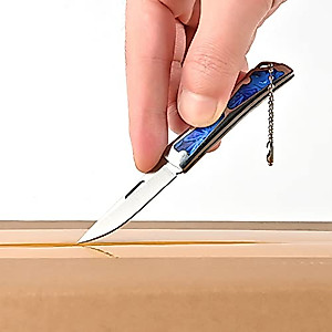 NBGDY Mini Knife Keychain, Small Pocket Folding Knife,EDC Package Opener  Box Cutter Knife. 2PCS(Red and Blue)(KPQ-1029)