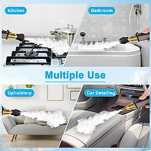 AUXCO Steam Cleaner, 1200ml High Pressure Steamer for Cleaning Handheld Steam Cleaner for Home,High-Temperature Steamer Cleaner for Car,Upholstery,Kitchen, Bathroom,Car Detailing,Grout and Tile