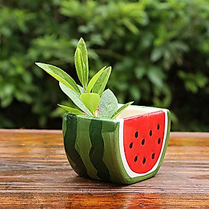 WAIT FLY Set of 3 Cute Watermelon Shape Ceramics Planters Gardening Pots Decoration for Cactus Succulent Flower Decoration for Home Garden