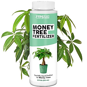 Money Tree Fertilizer for Money Trees and All Pachira Plants, Liquid Plant Food 8 oz (250mL)