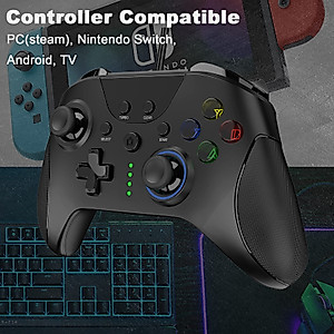 GCHT GAMING SP1048 Wired PC Gaming Controller with Paddles/Hall Joysticks/Hall Triggers/RGB Lighting, Work for Windows PC, Android, Steam and Switch (Black)