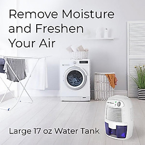 Pohl Schmitt Electric Dehumidifiers for Home, 2200 Cubic Feet (225 sq ft) Portable Compact 17 oz Capacity Mini Quiet Dehumidifier for Bedroom, Bathroom, RV, Laundry Room or Closet White