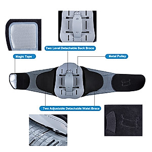 ALPHAY Back Brace - Immediate Relief from Back Pain, Herniated Disc, Sciatica, Scoliosis - Breathable Lumbar Belt with Lumbar Pad- Adjustable Support Straps- Lower Back Belt-L