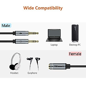 TESmart Headphone Splitter Audio Cable, 3.5mm Female to a Dual Male Headphone/Microphone Y Splitter Audio Adapter for Desktop PC, Laptop with a Combo Audio Port (1-Pack,1FT)