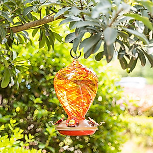 Muse Garden Hummingbird Feeder for Outdoors 2 Pack, Hand Blown Glass, 34 Ounces, Containing Ant Moat, Daylight and Peacock