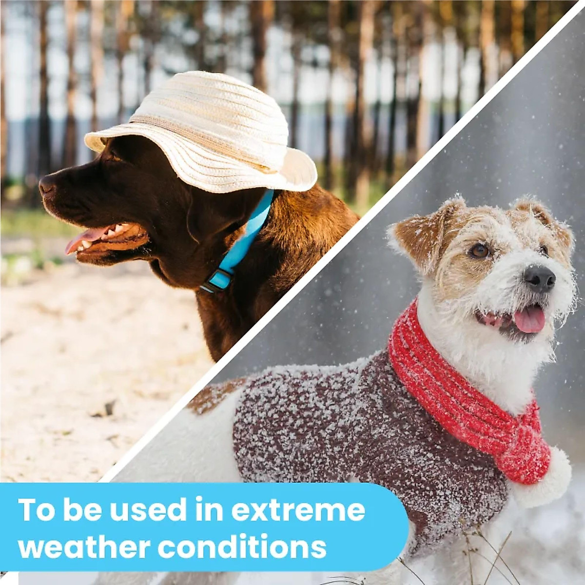 Pawtitas Nose Balm for Dogs for Moisturizers Dry, Chapped, Cracked, and Crusty Dog Noses Providing a Layer of Protection on Your Dog Snout Manufactured with Certified Organic Ingredients 0.15 OZ