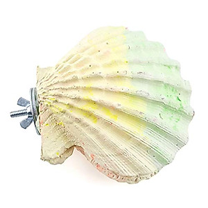 POPETPOP Parrot Perch Stand - 2PCs Shell Shape Totoro Squirrel Hamster Calcium Teeth Mouth Molar Grinding Stone Parrot Beak Stone Stand Platform