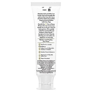 P&G-Burts Bees Toothpaste Purely White 4.7 Ounce Zen Peppermint (Pack of 2)