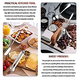 Cheese Butter Spreader Knives Set Charcuterie Accessories Stainless Steel Spreader Knives Charcuterie Boards Utensils Mini Serving Tongs Spoons and Forks for Pastry Making (Silver, 14 Pcs)
