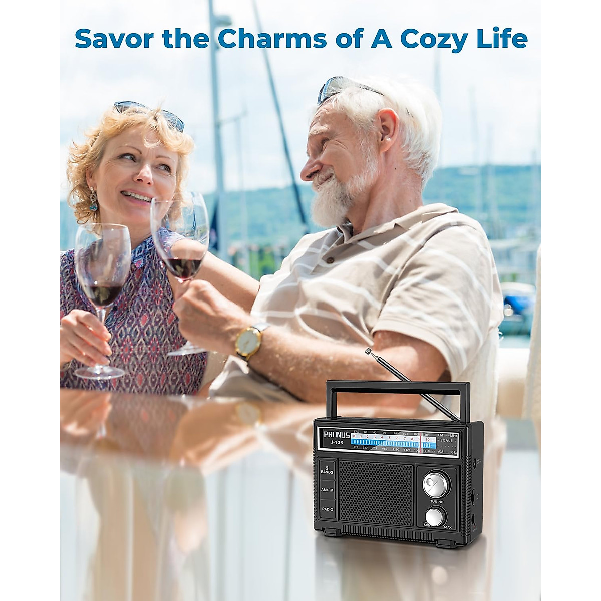 PRUNUS Portable Radio AM FM, Transistor Radio Battery Operated and Plug in Wall,Loud Speaker Support AUX in and Micphone in, Small Radios Portable AM FM J-136