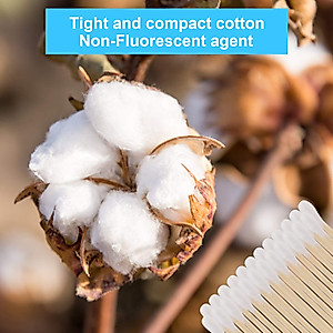 500pcs Cotton Swabs Double Round with Natural Wooden Sticks, Thick Cotton Buds for Daily Use Firm Qtips Cotton Swabs in One Small Box