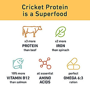 Jiminy's Cricket Treats - Hypoallergenic Dog Treats, 100% Made in The USA, Cricket Dog Treats, Gluten-Free, Sustainable, All Natural Dog Treats, High Protein - Peanut Butter & Blueberry, 6oz Bag