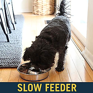 OurPets DuraPet Slow Feed Premium Stainless Steel Dog Bowl, Silver, Small (2040010300)
