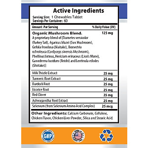 cat Skin and Coat - PET Immune Support - Dogs and Cats - VETS Choice - Chews - Turmeric Cats - 2 Bottles (120 Treats)