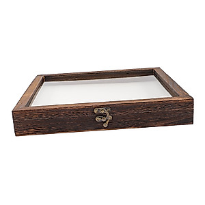 EXCEART Jewelry Organizer Tray 2pcs Eva and Storage Window Insecta Collection Locked Display Pad for with Kit Clear Specimen Shadow Cm Supplies Pinning Entomology Foam Board Jewelry Organizer Case