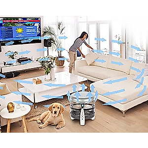 Fcp Power 360 Super Fan Cost Effective, Portable Design - Silver/Black with Remote Control