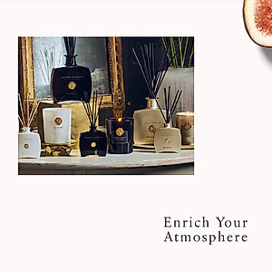 RITUALS Wild Fig Luxury Home Decor Scented Candle - Aromatherapy Candle with Italian Fig, Chinese Orris, Clove & Sandalwood - 12.6 Oz