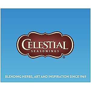 Celestial Seasonings Cold Brew Sweetened With Lemon, 18 Count