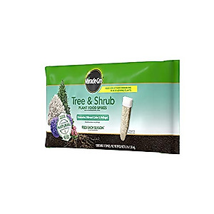 Miracle-Gro Tree & Shrub Plant Food Spikes, 12 Spikes/Pack, 12 count (Pack of 1)