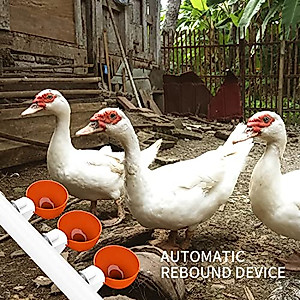 sansheng Large Automatic Chicken Waterer Cups,Thread Automatic Filling Poultry Water Cups with Drill Bit,Automatic Poultry Waterer for DIY Poultry Quail Duck Chicken Bird Drinker(5 Pack)