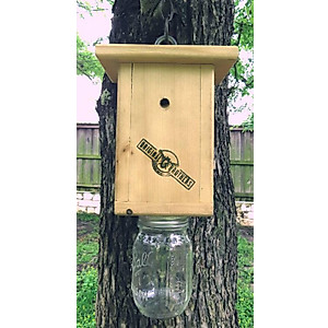Original B Brothers-Carpenter Bee Trap