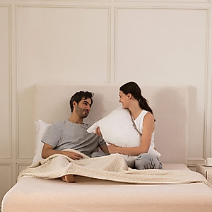 AIKOFUL Luxury Goose Feathers Down Pillows for Sleeping Queen Size Bed Pillows,100% Cotton 1000 Thread Count (Queen-1 Pillow)