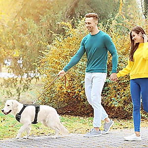 POPETPOP Dog Harness Reflective Adjustable Outdoor Pet Vest Harness Easy Control for Small Medium Large Dogs