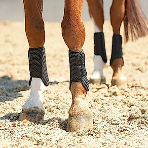 Equilibrium Tri-Zone 2019 All Sports Tendon Boot Medium Black