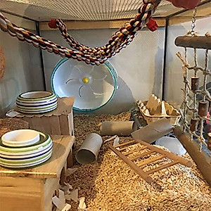 Zhang Ku 5.5inch Silent Hamster Wheel-Pets Running Sports Exercise Wheel Jogging Wheel Hamster Rat Gerbil Silent Spinner (Blue)