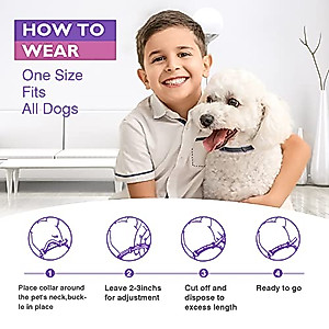 Dogs Calming Pheromones Collar 3 Packs Lasts 60 Days Relieve Reduce Anxiety or Stress 25 Inches Adjustable Relaxing Comfortable Collar Breakaway Design for All Small Medium and Large Dog